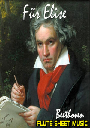 Beethoven, Fur Elise For Flute Solo Sheet Music - eSheetMusics.com